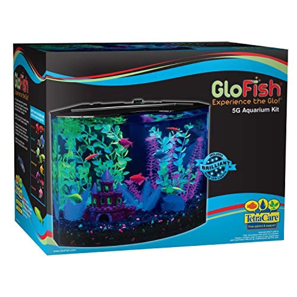 GloFish 5-Gallon Aquarium Kit with Blue LED light